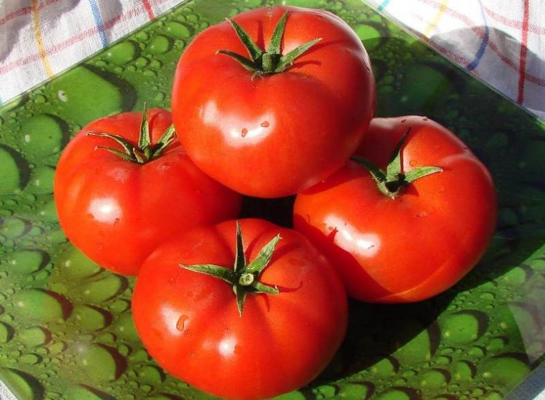 Лучшие 46 Сортов Томатов для Теплицы: Описание, Фото, Отзывы