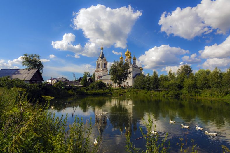 30 Лучших Сортов Тыквы: Описание с Фото - Krrot.net