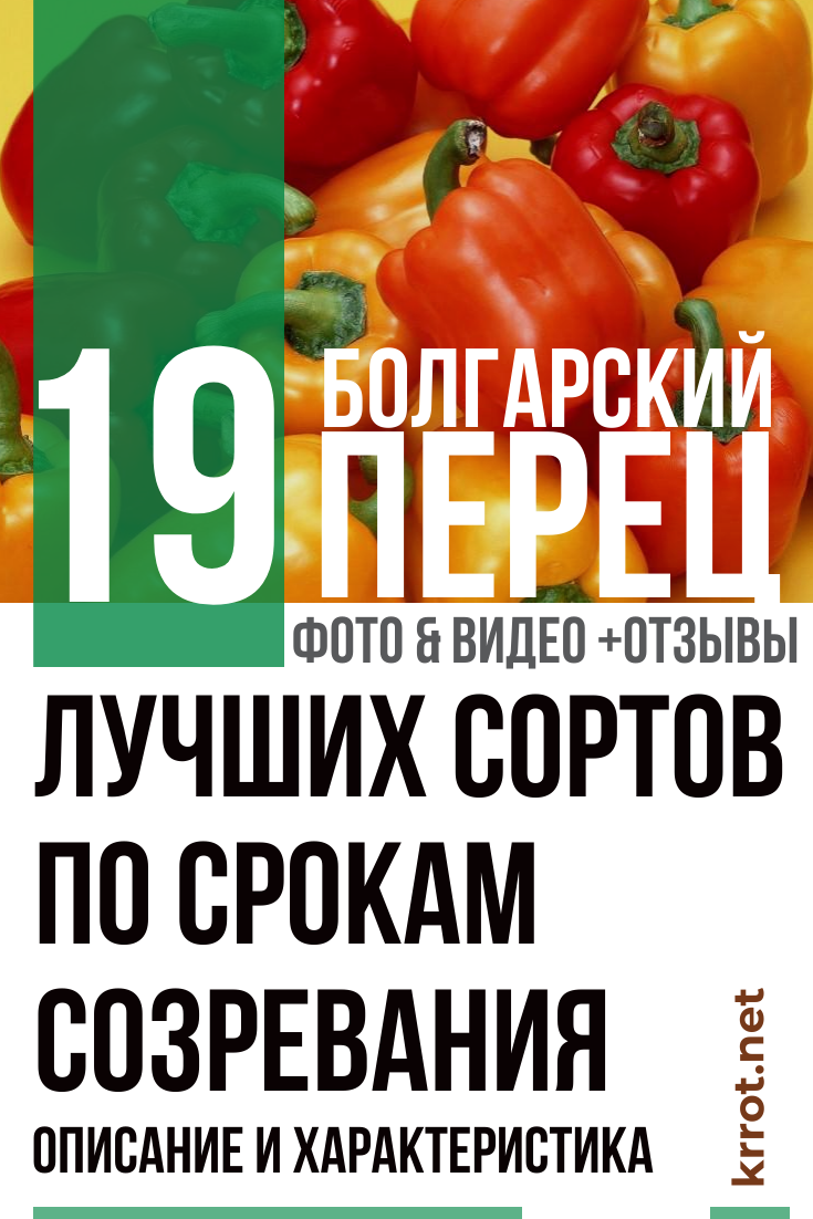 19 Сортов Сладкого Перца: Описание, Характеристика +Отзывы