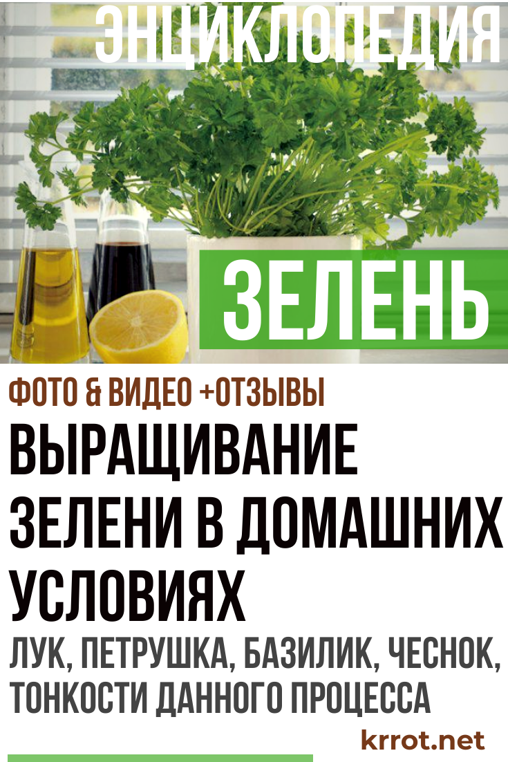 Выращивание Зелени в Домашних Условиях (Зимой и Летом)