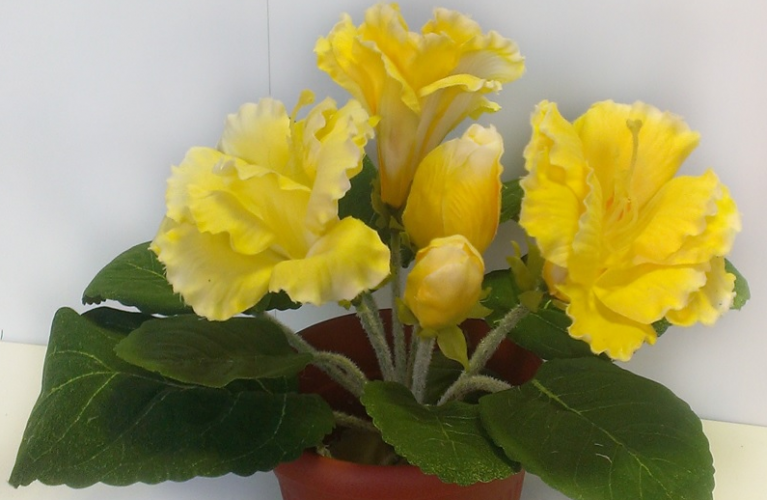 Глоксиния: Описание, Посадка и Уход | (50 Фото) +Отзывы