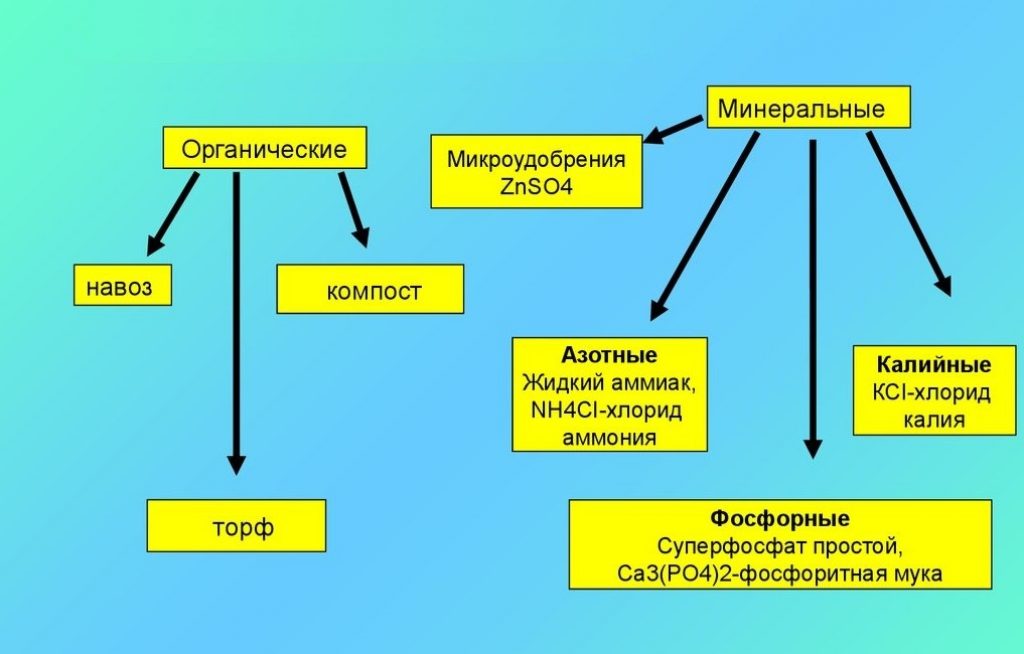 Навоз как Удобрение: Виды, Способы Применения +Отзывы
