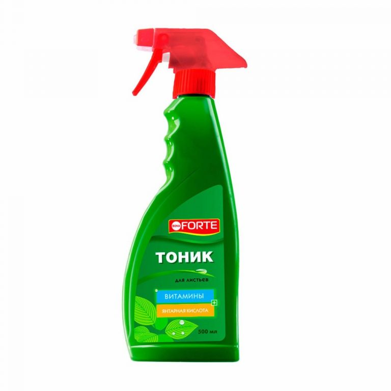 Лучшие Удобрения для Комнатных Цветов: Рецепты +Отзывы