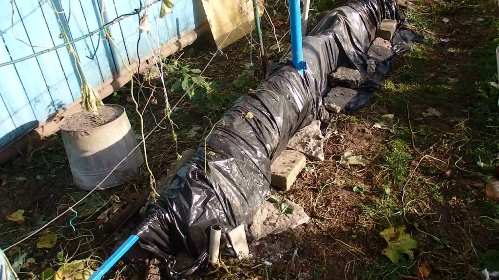Как Укрыть Виноград на Зиму в Зависимости от Региона
