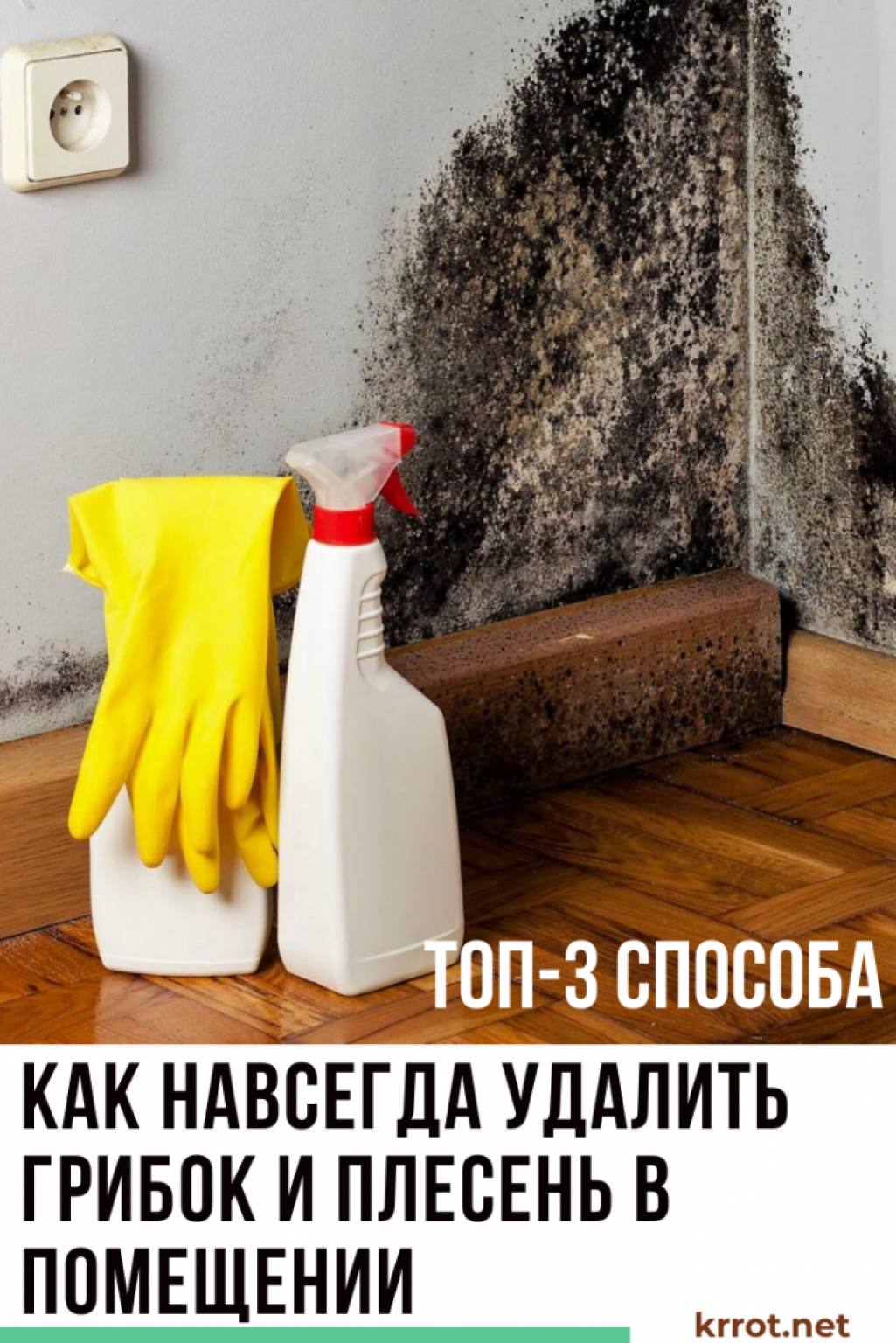 ТОП-3 Способа Как Избавится от Грибка и Плесени в Помещение
