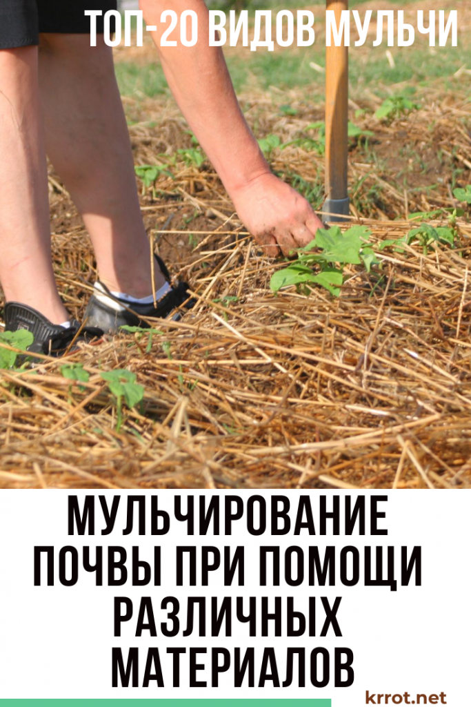 ТОП-20 Видов Мульчирования Почвы: Плюсы & Минусы