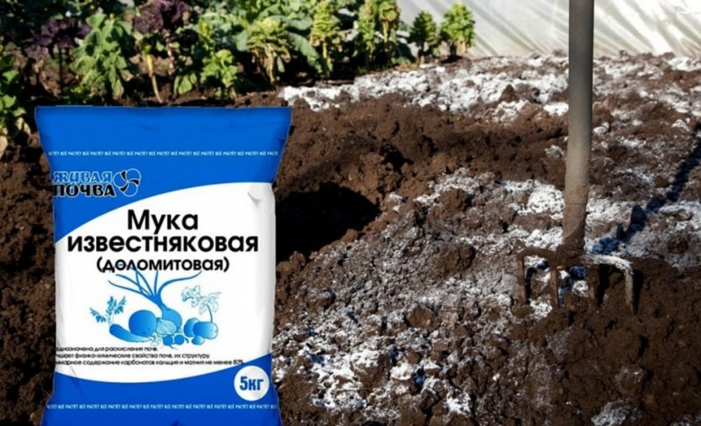 ТОП-7 Способов Как Раскислить Почву на Огороде